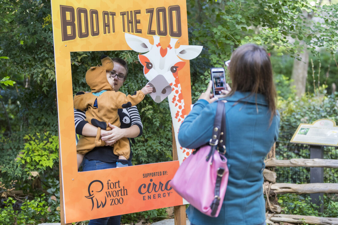 15 Fall Festivals in the Dallas-Fort Worth Area - DFWChild