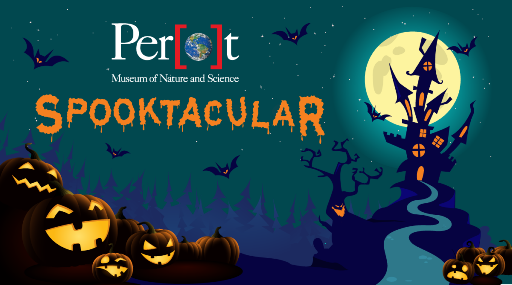 Spooktacular Weekend - DFWChild