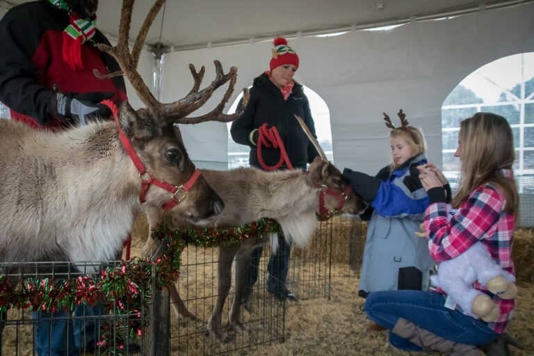 Christmas at the Ranch - DFWChild