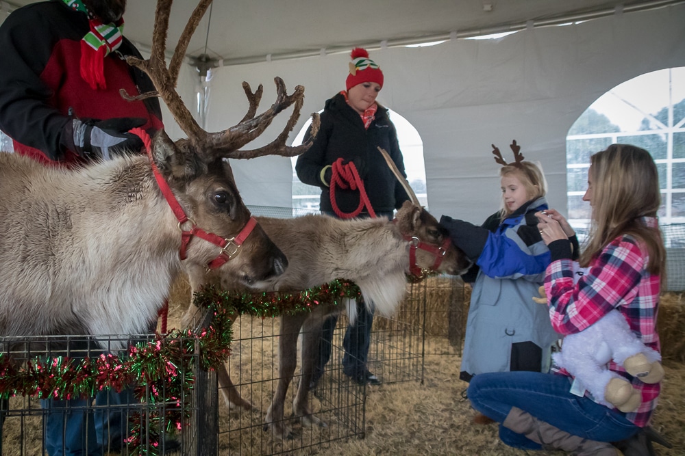 Christmas at the Ranch - DFWChild
