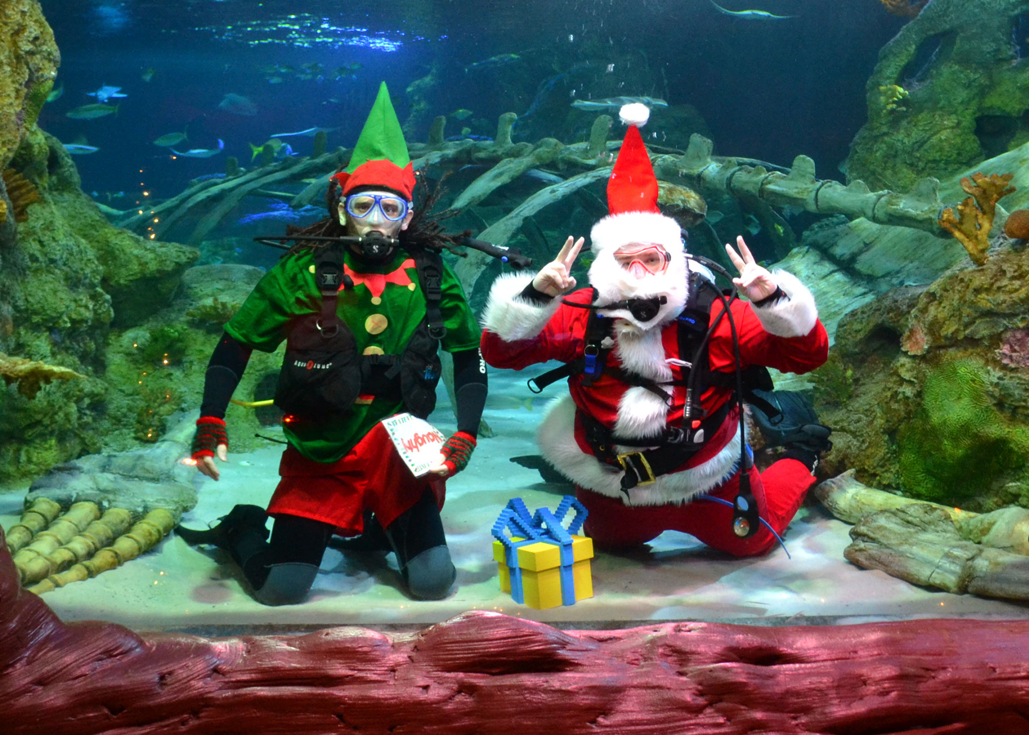 Santa Finder: Ultimate Santa Experiences in Dallas-Fort Worth
