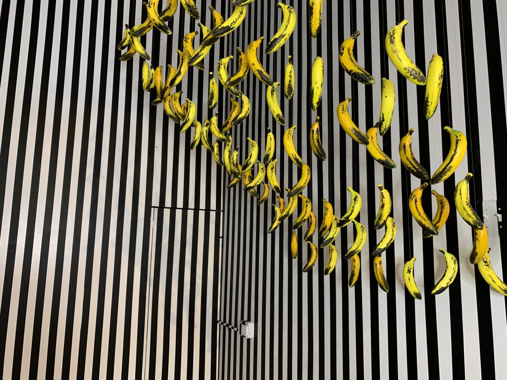 Your Family's Guide to Dallas Art Pop-up Rainbow Vomit – DFWChild