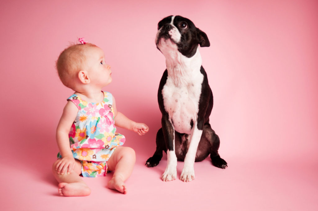 How To Introduce A New Pet To Your Young Family - DFWChild