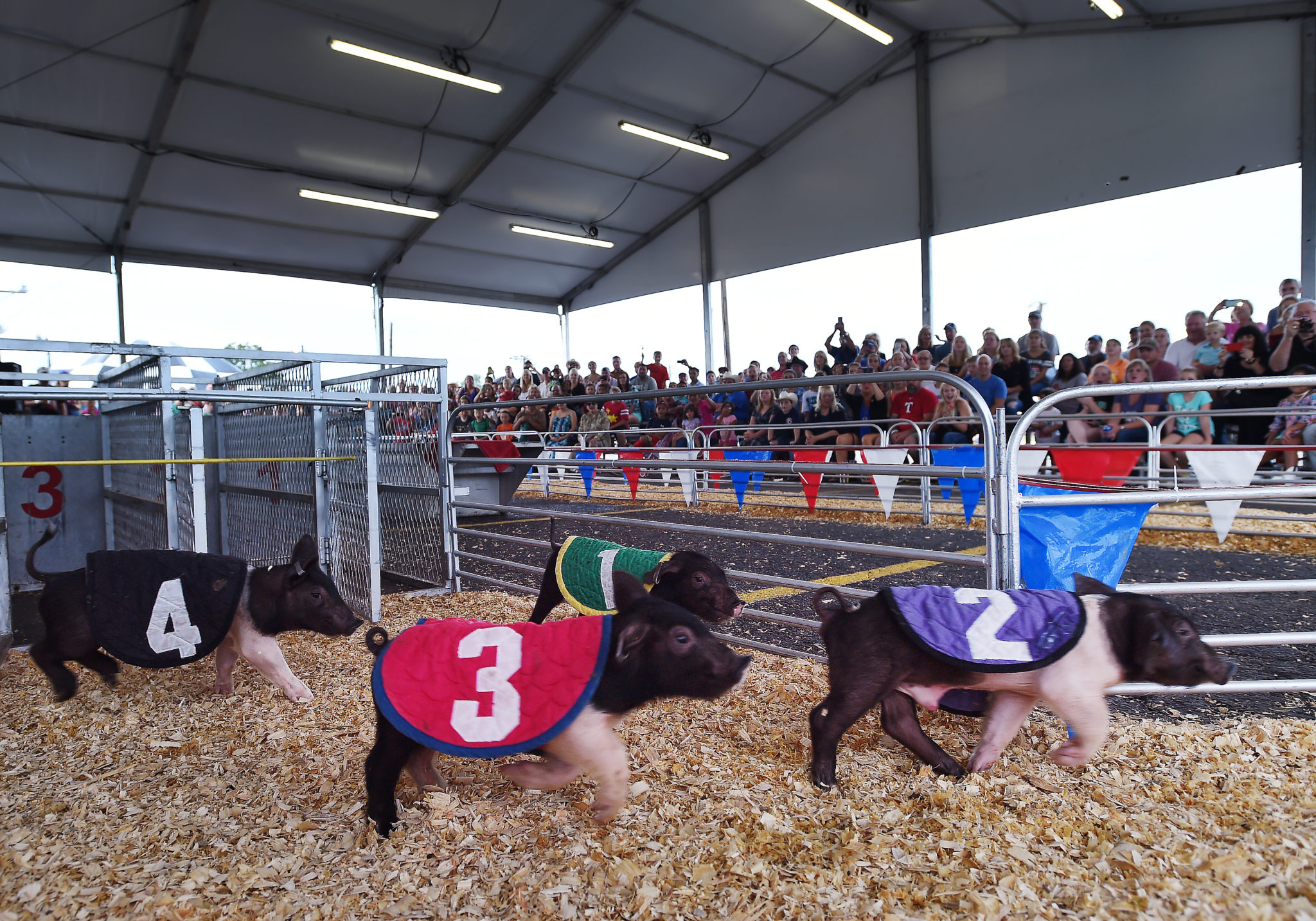 North Texas Fair & Rodeo - DFWChild