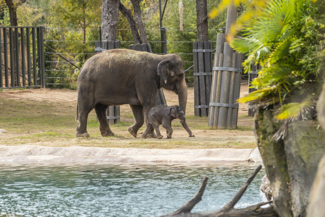 DFWChild's Best for Families 2022 - DFWChild