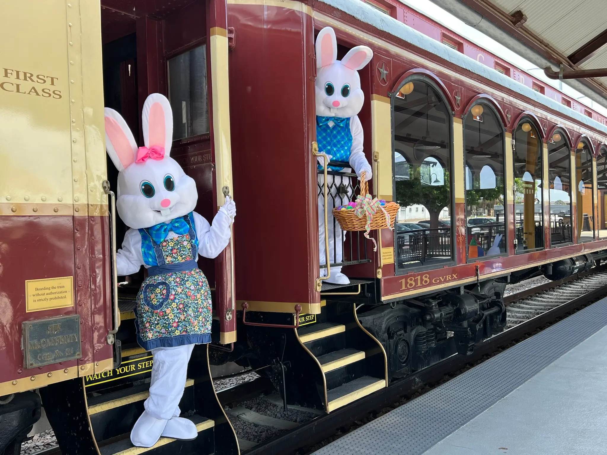 Easter Bunny Express - DFWChild