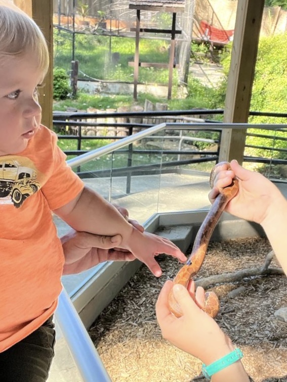 A Guide to Frank Buck Zoo - DFWChild