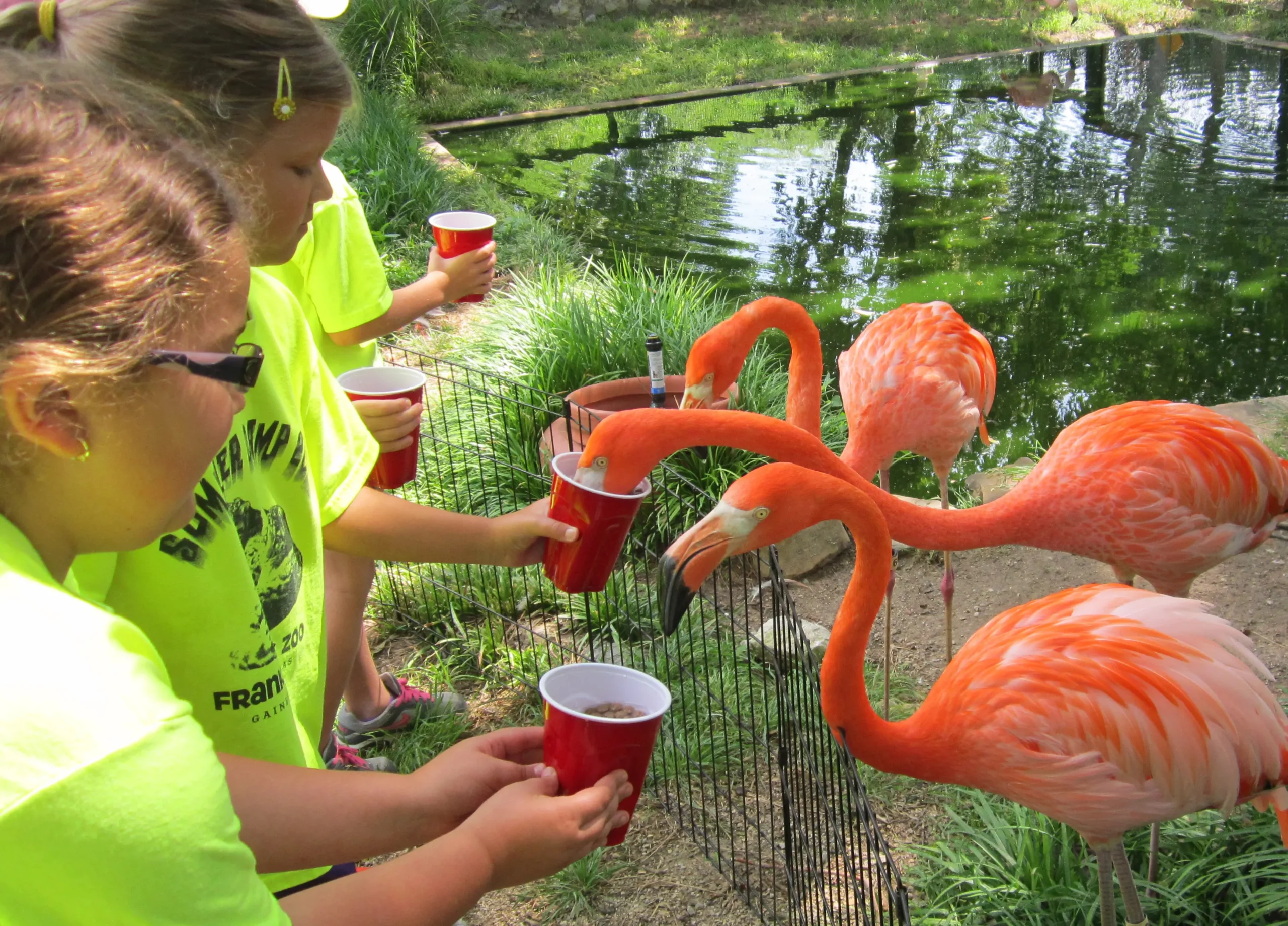 A Guide to Frank Buck Zoo - DFWChild