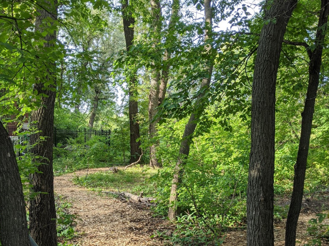 Family Tree Hike - DFWChild