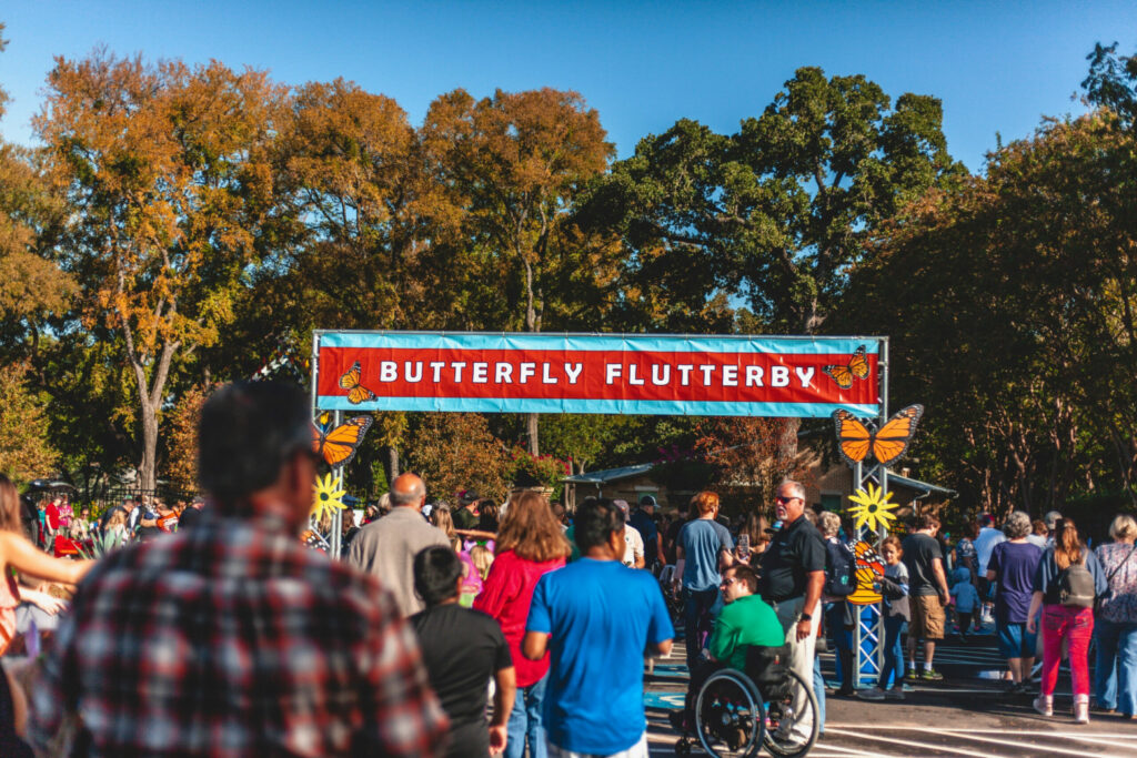 Butterfly Flutterby - DFWChild