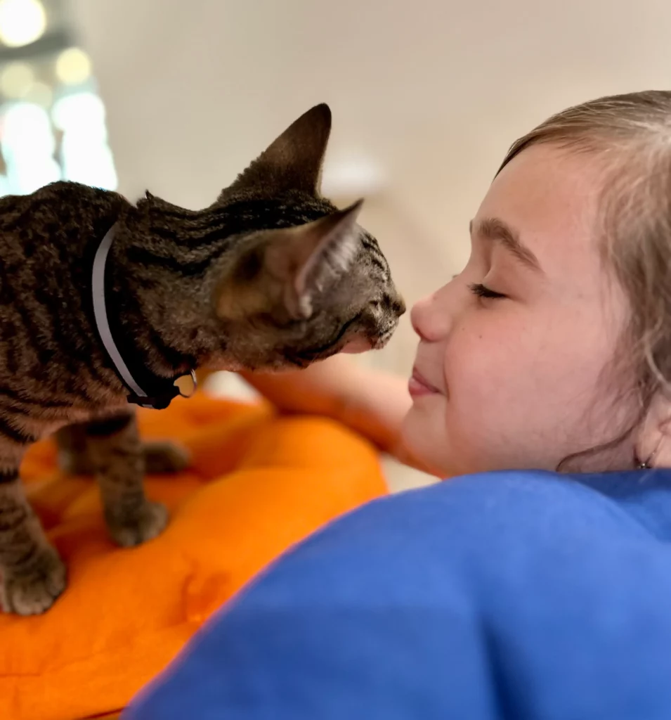 Cat Cafés in Dallas-Fort Worth - DFWChild