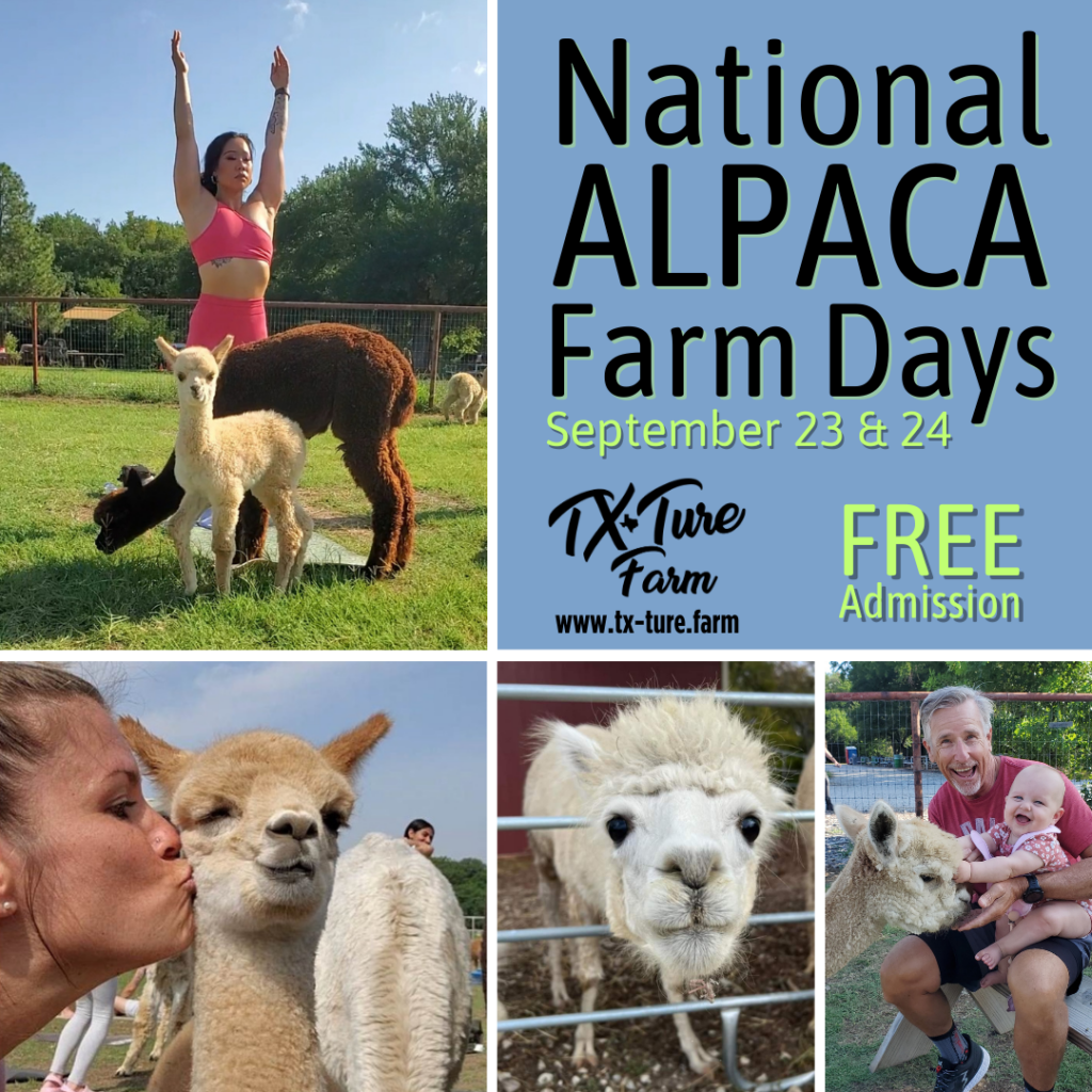 National Alpaca Farm Days - DFWChild