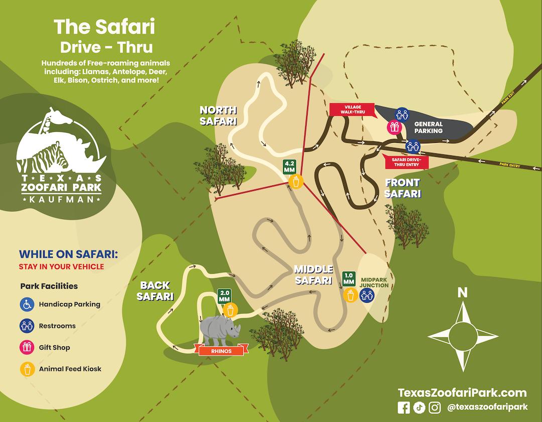 A Guide to Texas Zoofari Park - DFWChild