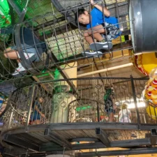 The Go-To Resource For Parents in Dallas-Fort Worth Area - DFWChild