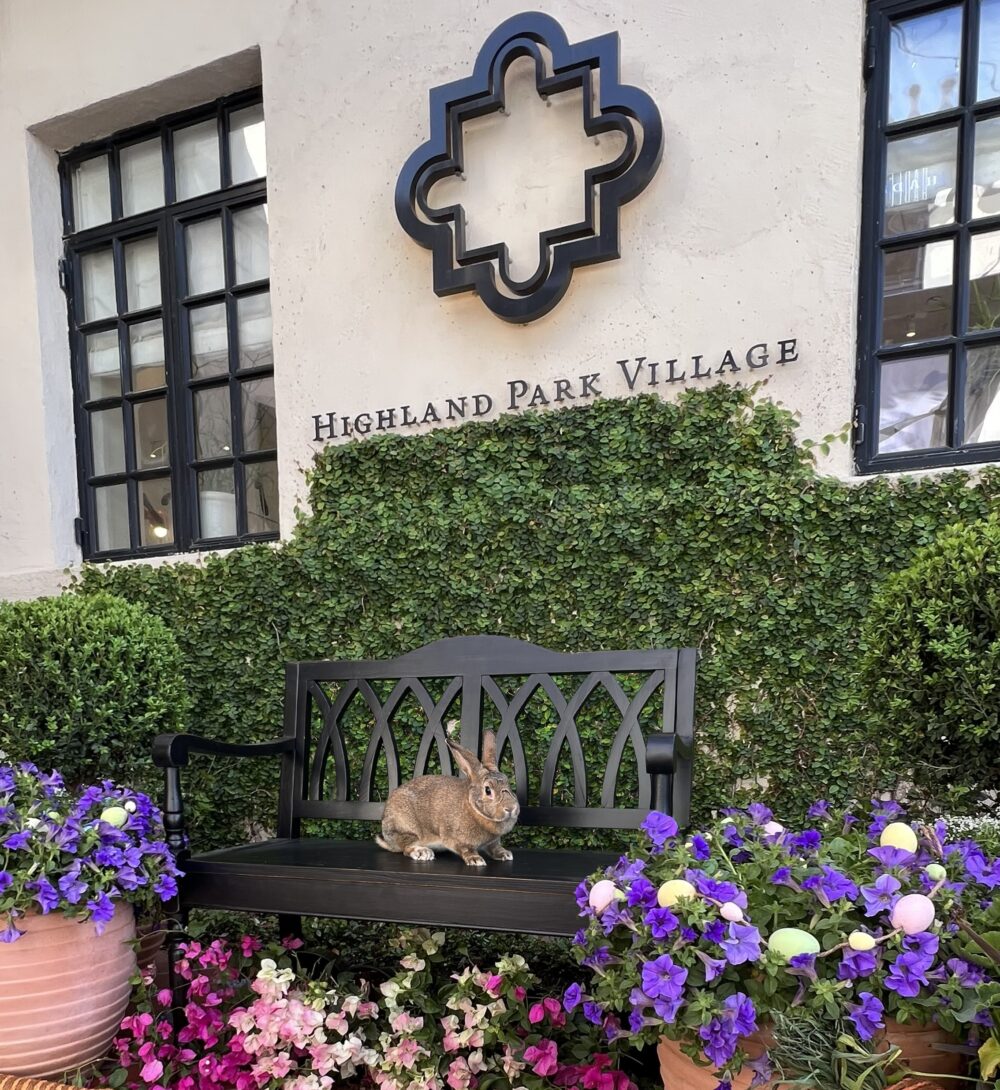 Highland Park Village's Spring Shopping Stroll - DFWChild