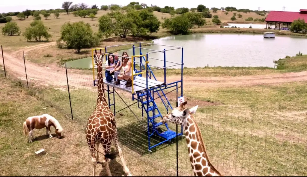 Family Getaways at Texas Ranches - DFWChild