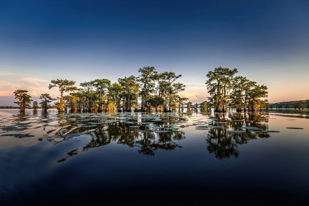 Travel to Caddo Lake State Park - DFWChild