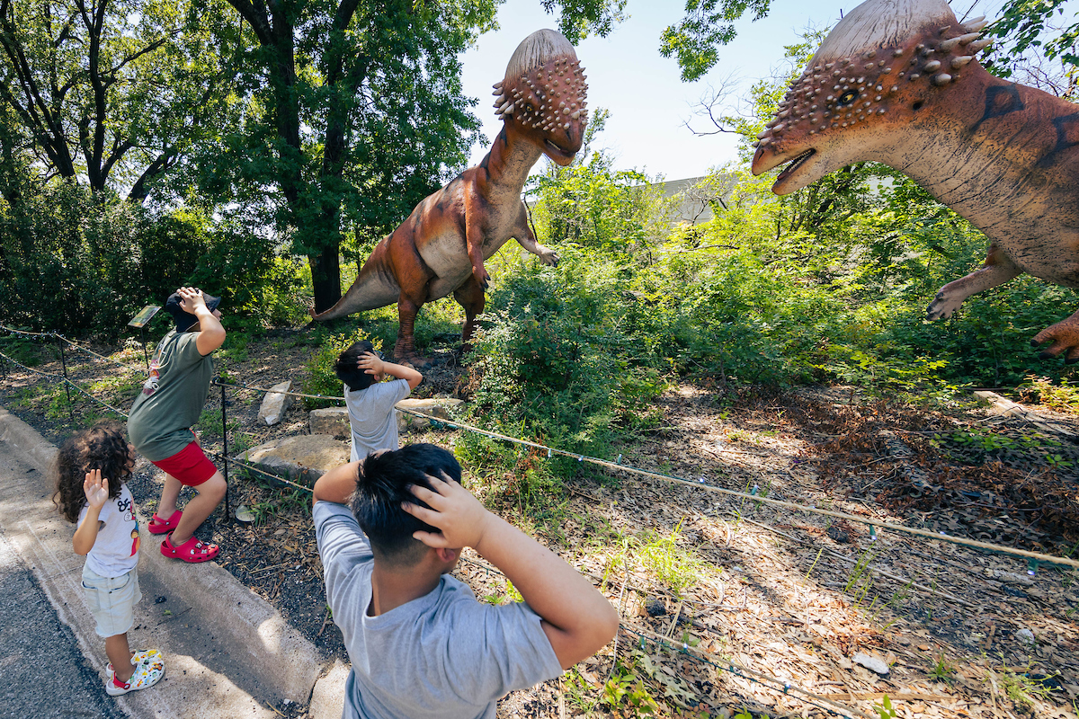 National Dinosaur Day - DFWChild