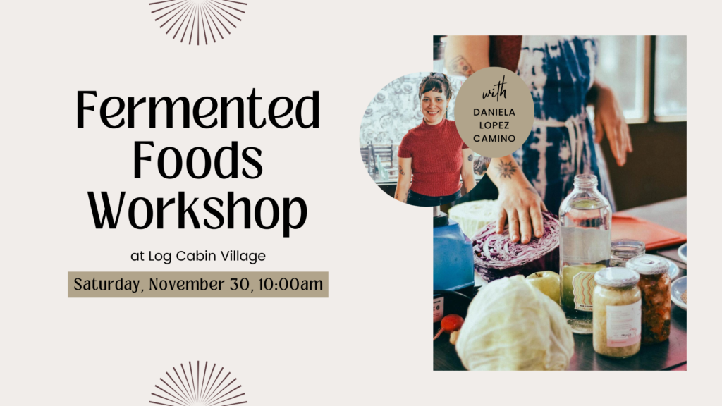Fermented Foods Workshop - DFWChild