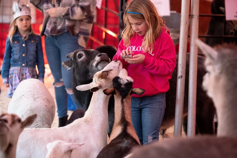 Dallas Events Calendar | DFW Child