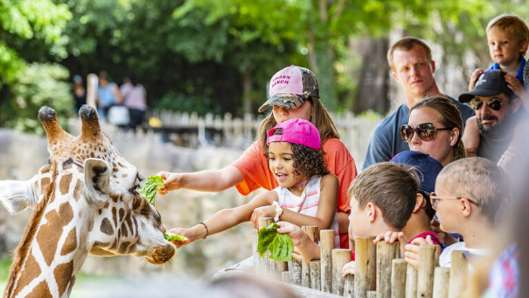 Fort Worth Zoo - DFWChild