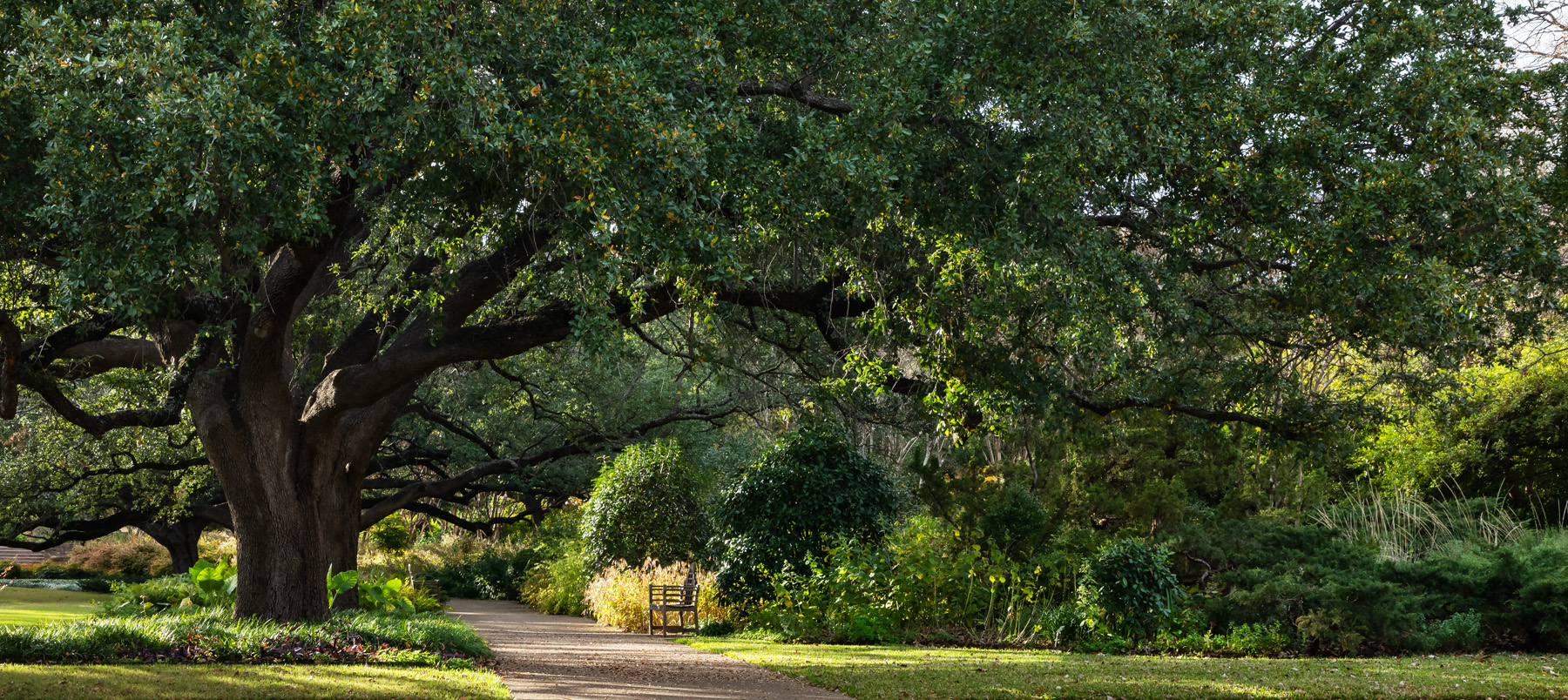 FWBG's Neighbors in Nature: An Earth and Arbor Day Celebration - DFWChild