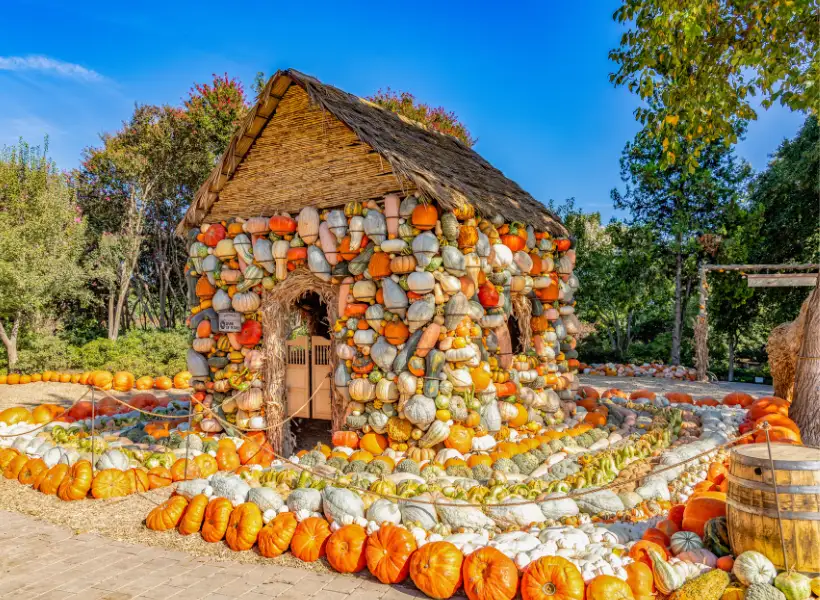 A Guide to the Dallas Arboretum - DFWChild