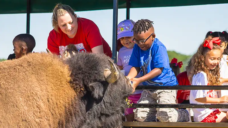 Texas Zoofari Park - DFWChild