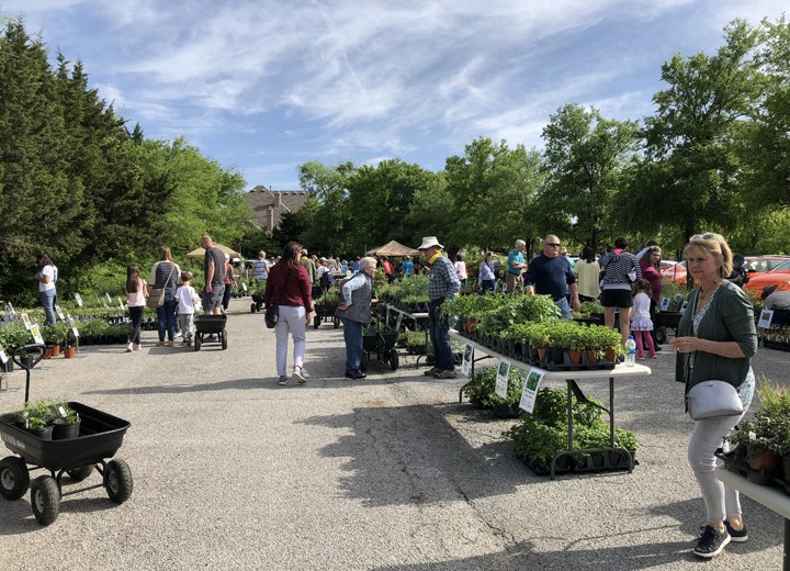 Spring Native Plant Sale - DFWChild